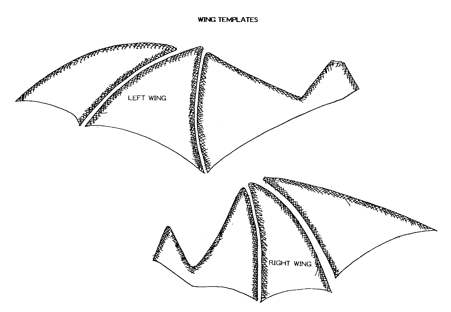 Printable Dragon Wing Template Free Printable